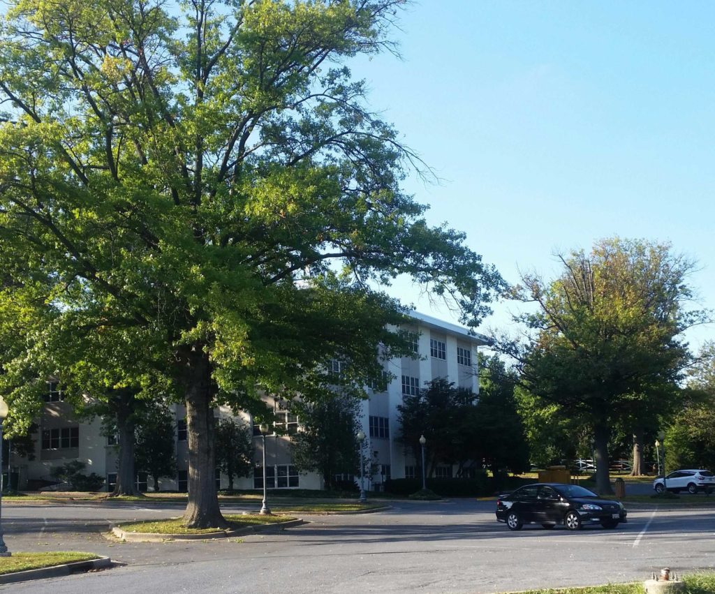 Notorious Late-Term Abortionist Opens 'Advanced Gestation' Abortion ...