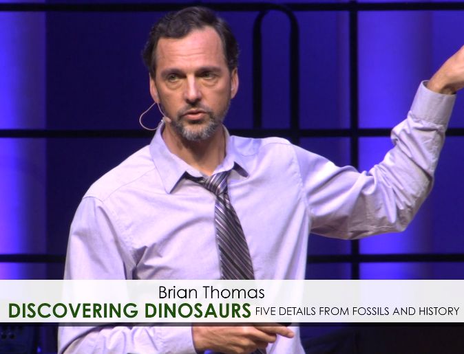 Discovery of Giant Synapsid Fossil in Poland 'Throws a Wrench' in ...